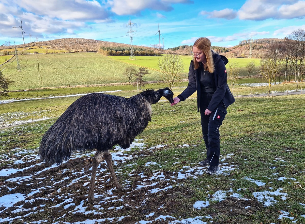 DIE „AATAL-EMUS“ SIND ANGEKOMMEN