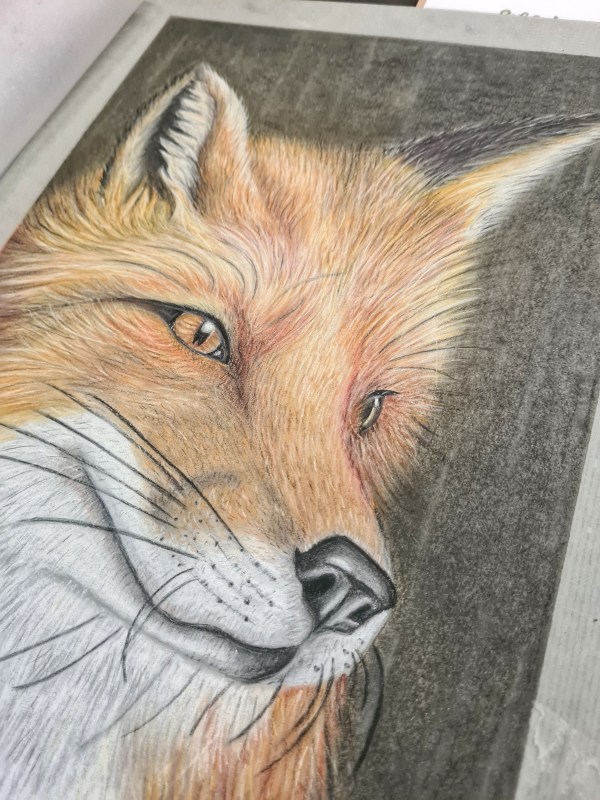 MADLEN BECKMANN – EIN ECHTES NATURTALENT